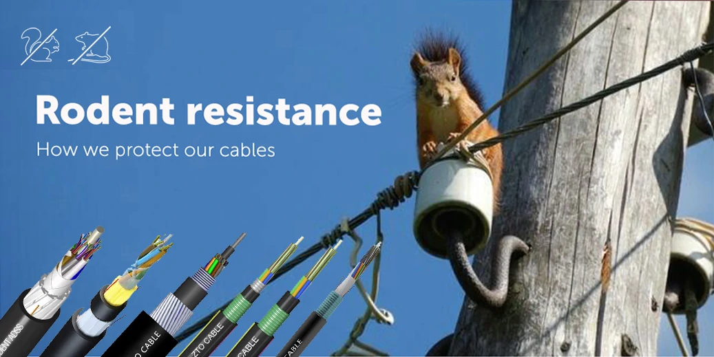 anti rodent fiber optic cable - ZTO